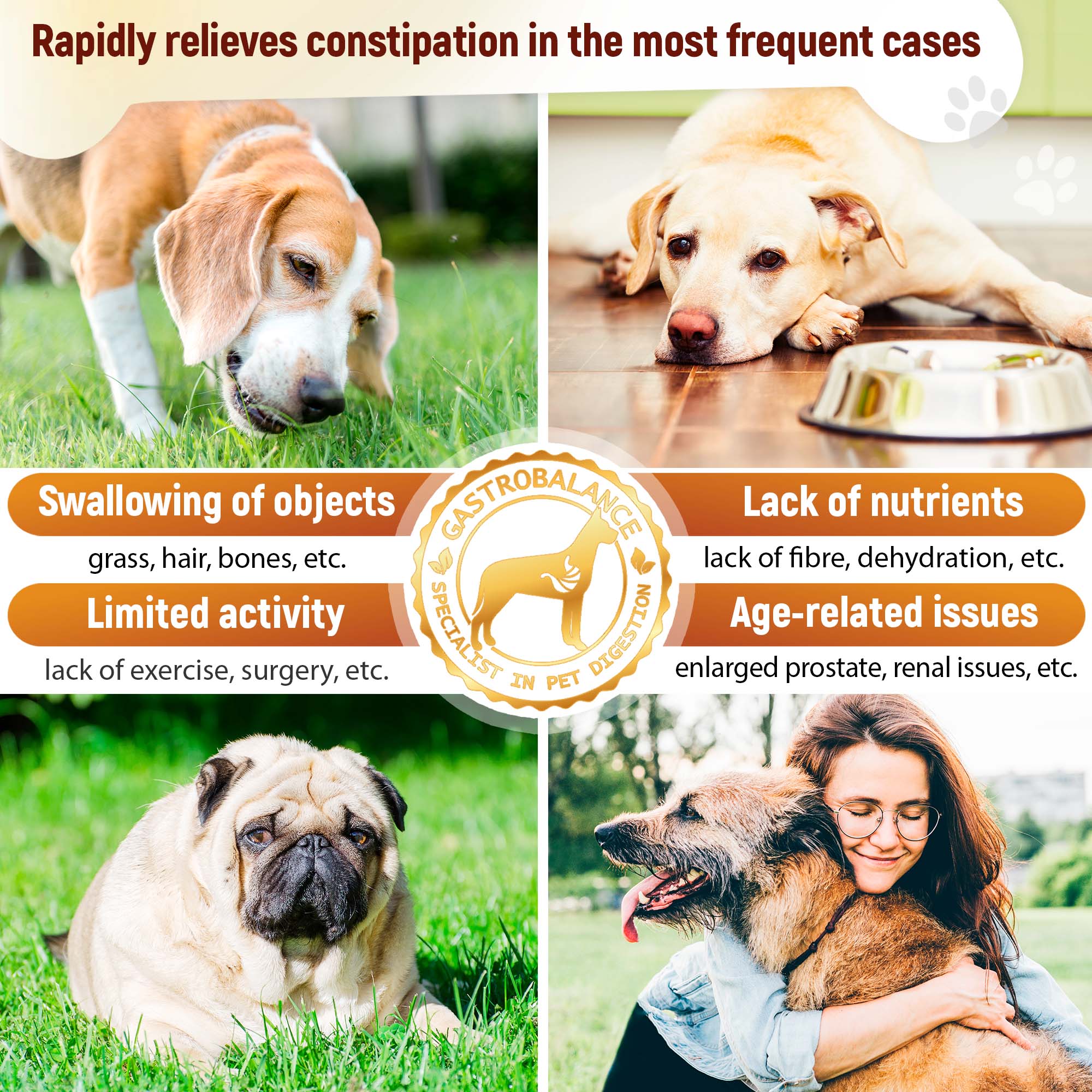 Constipation in old dog : how to help? – GastroBalance