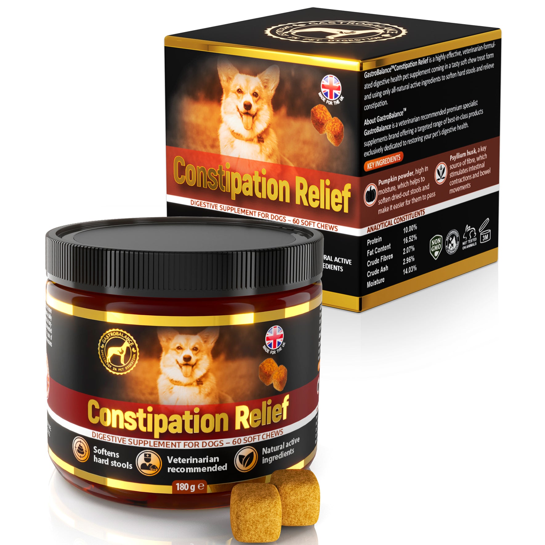 Caring for an older dog constipation – GastroBalance